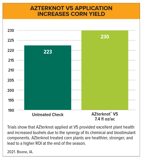 Vive's Corn Solutions
